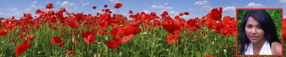 Servane Fievez | La verite est un pays sans chemin